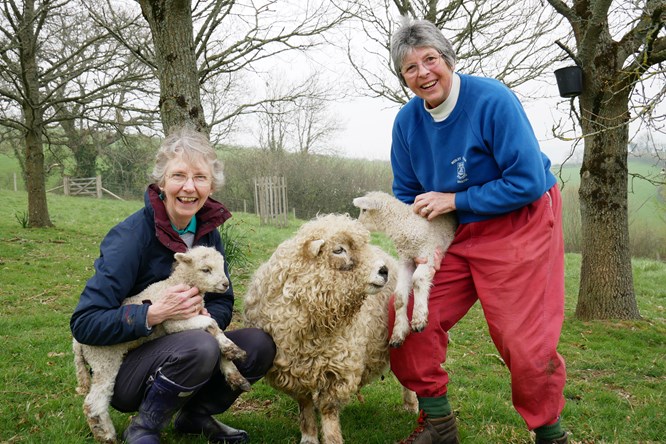 Meet the sheep at Sheldon retreat