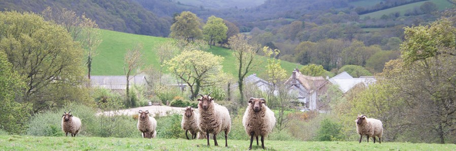Sheldon Retreat centre in Devon